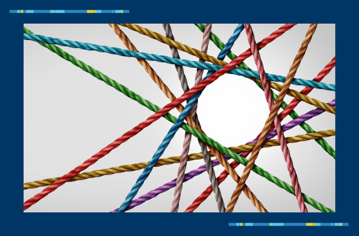 Ireland Stapleton Announces 2023 EDI Committee - Ireland Stapleton