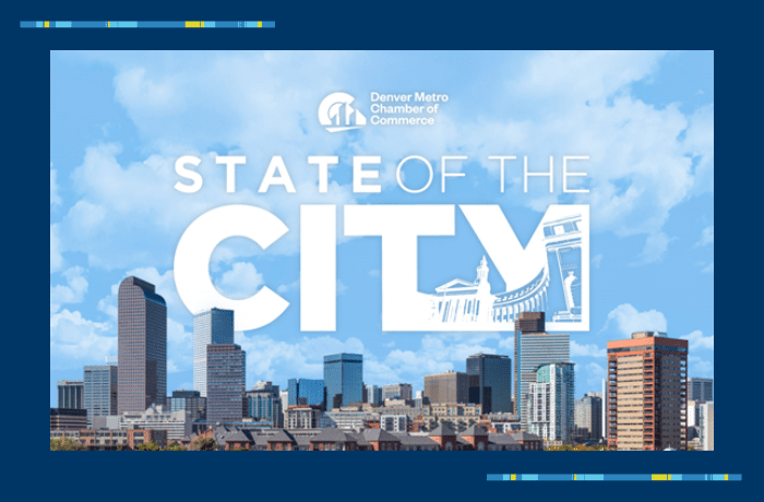 DMCC State of the City Luncheon - Ireland Stapleton